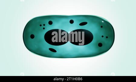 Cell division happens when a parent cell divides into two or more cells ...