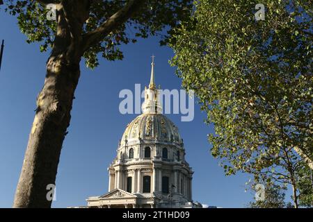 the invalide building in Paris. Shot of the roof inbetween two trees ...