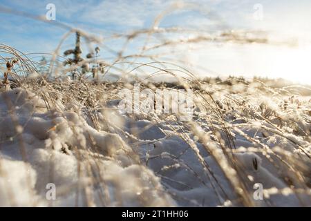Winter solstice. Sunny tundra in a winter frosty day Stock Photo - Alamy