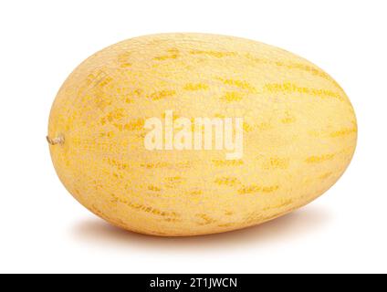 Long oval melon isolated on white background. Uzbek Russian melon with ...