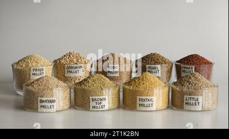 A single image showing all the nine millets. Millets are arranged in ...