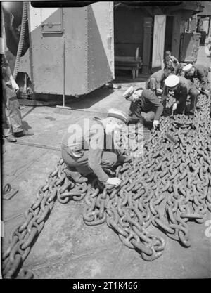 ON BOARD THE DESTROYER HMS HERO AS SHE WENT FROM ALEXANDRIA TO HAIFA ...