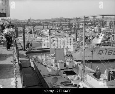 Motor torpedo boats and motor gun boats of the Light Coastal Forces are ...