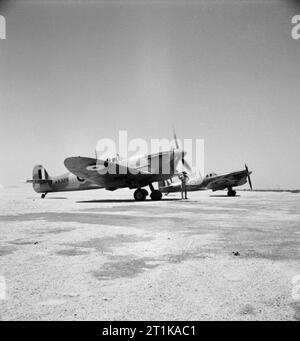 The War in Egypt: Engines from Alexandria Passing Up the Suez Canal to ...