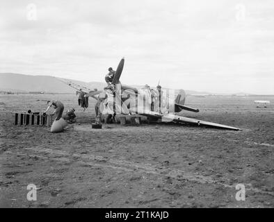 Royal Air Force No. 1435 Flight Devil’s Lair patch Stock Photo - Alamy