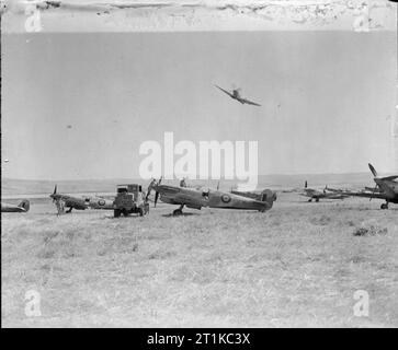 Supermarine Spitfire Mark VCs of No. 152 Squadron RAF are refuelled ...