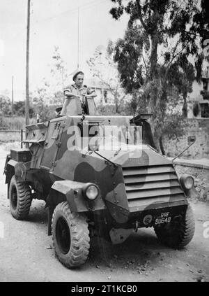 German reconnaissance car, 1942 Stock Photo - Alamy