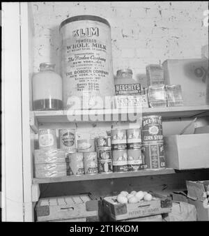 WW2 tinned powdered eggs and milk made in USA Stock Photo - Alamy