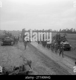 Infantry of 15th (Scottish) Division advance through waist-high corn ...
