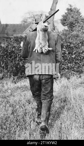 AGRICULTURE IN BRITAIN, 1941 - A farmer, with two dead rabbits hanging ...