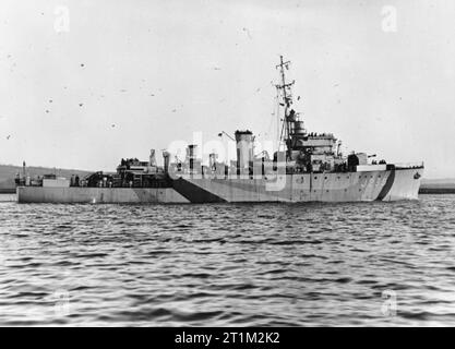 British Algerine class minesweeper HMS Acute Stock Photo - Alamy