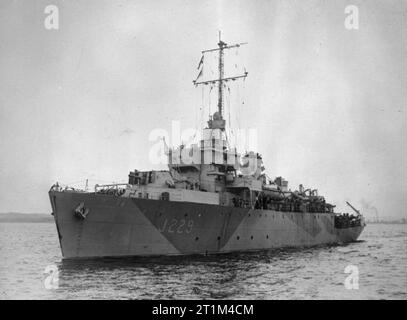British Algerine class minesweeper HMS Acute Stock Photo - Alamy