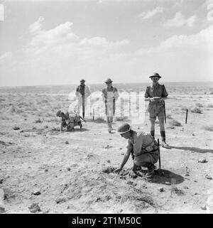 WITH THE ROYAL ENGINEERS IN NORTH AFRICA - Repairing overhead power ...