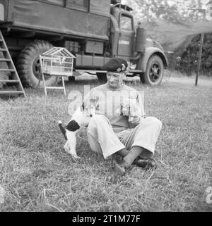 General Montgomery with his puppies 'Hitler' and 'Rommel' at his mobile ...