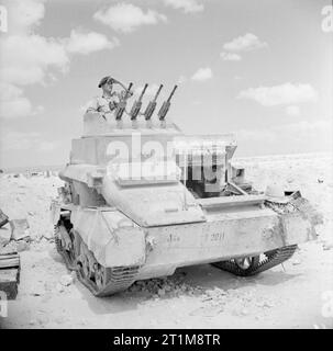 Vickers Light Tank AA Mk 1 of the British Army in North Africa on 15 ...