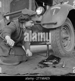 Badge of the Supreme Headquarters Allied Expeditionary Force ...