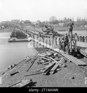 Comet tanks of the 2nd Fife and Forfar Yeomanry, 11th Armoured Division ...