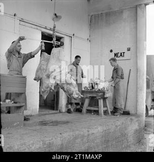 Royal Army Service Corps (RASC) - Men & wagon at entrance to stores ...