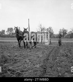 Germany Under Allied Occupation Working from rafts on the water ...