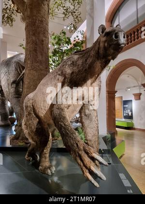 Jurassic Elephant and sloth exhibit Stock Photo - Alamy