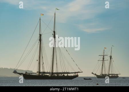 Sailing vessels Pacific Swift and Pacific Grace at anchor in Cadboro ...