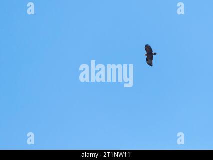 Durankulak lake on the black sea coast of Bulgaria Stock Photo - Alamy