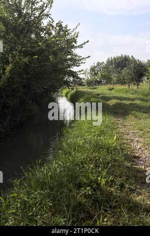 Path between trenches with water and a row of trees next to fields in ...