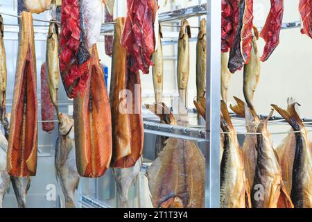 Smoking Process Fish. Fish processing smoking. Mackerel Fish smoked in ...
