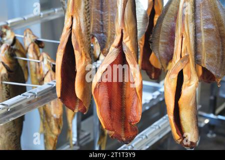 Smoking Process Fish. Fish processing smoking. Mackerel Fish smoked in ...