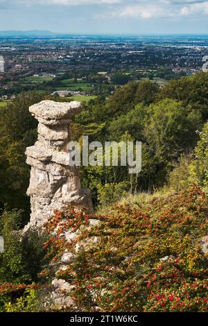 A portrait of the limestone stack known as "The Devils Chimmey Stock ...