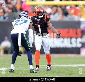 Cincinnati Bengals wide receiver Ja'Marr Chase in action during an NFL ...