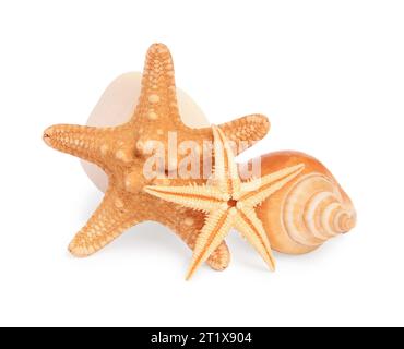 Beautiful sea stars (starfishes) and seashell isolated on white Stock ...