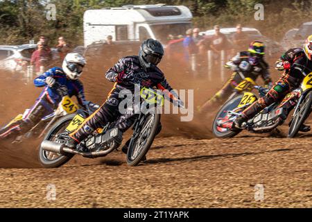 Sidecar grasstrack racing Stock Photo - Alamy