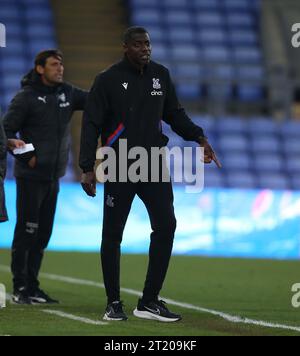 Darren Powell manager of Crystal Palace U21. - Crystal Palace U21 v ...
