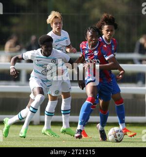 Eyimofe Jemide of Crystal Palace U18. - Crystal Palace U18 v Fulham U18 ...