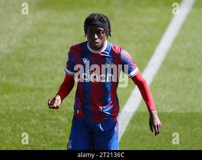 Kaden Rodney of Crystal Palace U21. - Crystal Palace U21 v Chelsea U21 ...