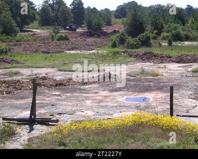Granite outcrop endangered species. Creator: Pattavina, Pete ...