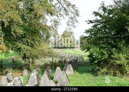 Westwall Anti-Tank Barriers from WW2 Stock Photo - Alamy