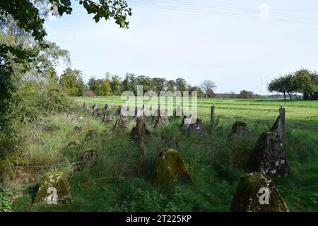 Westwall Anti-Tank Barriers from WW2 Stock Photo - Alamy