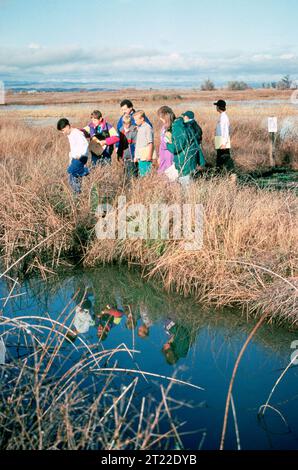 Children play on a field where events are held to celebrate the Dragon ...