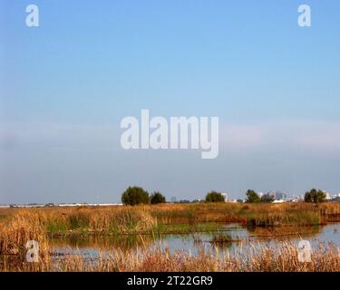 The Yolo Bypass Wildlife Area is located in California, known for its ...