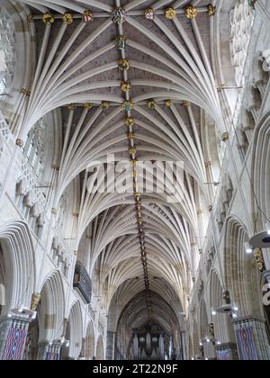 The nave or longitudinal aisle with vault and columns in the gothic ...