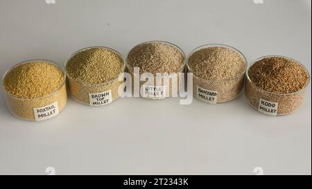 Siridhanya Millets or Five Positive Millets are a group of five grains ...