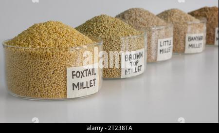 Siridhanya Millets or Five Positive Millets are a group of five grains ...