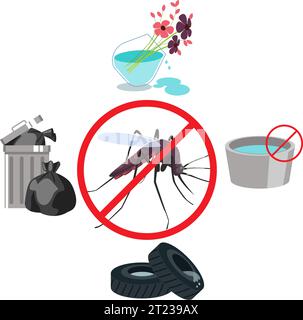 Dengue Prevention - Avoid Water Collection - Stock Illustration as EPS ...