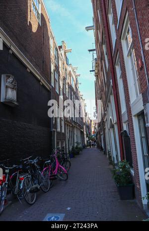 Residential street in the Netherlands with wide cycle lane, green hedge ...