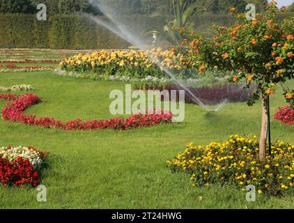 automatic watering system for flowering trees and flowers in flowerbeds ...