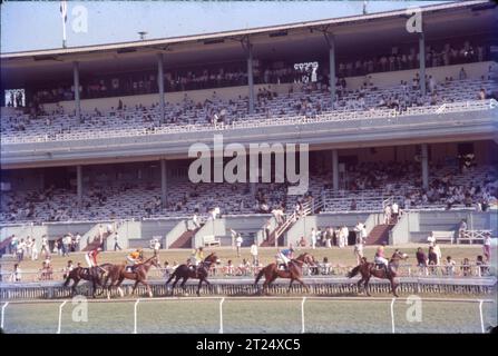 The Mahalaxmi Racecourse is a horse racing track in Mahalaxmi ...
