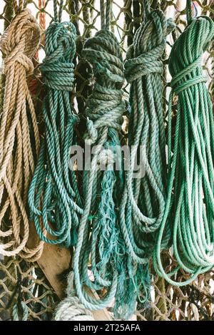 Flora Museum, Texel Stock Photo - Alamy