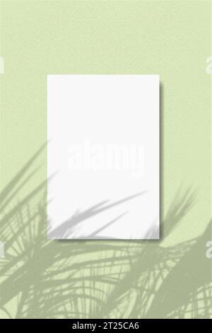 Blank vertical paper A4, invitation mockup, flat lay. Dry grass ...